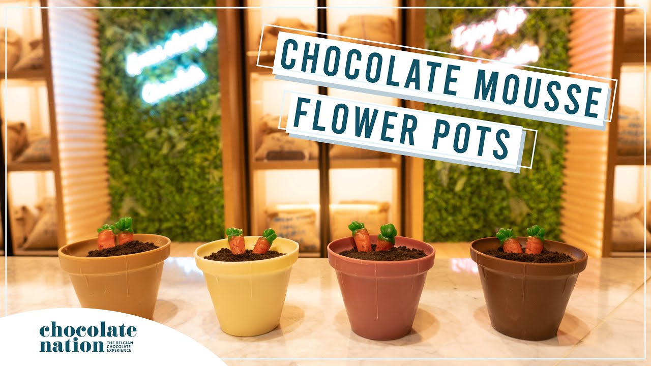 Chocolate mousse flower pots | Chocolate Nation - YouTube