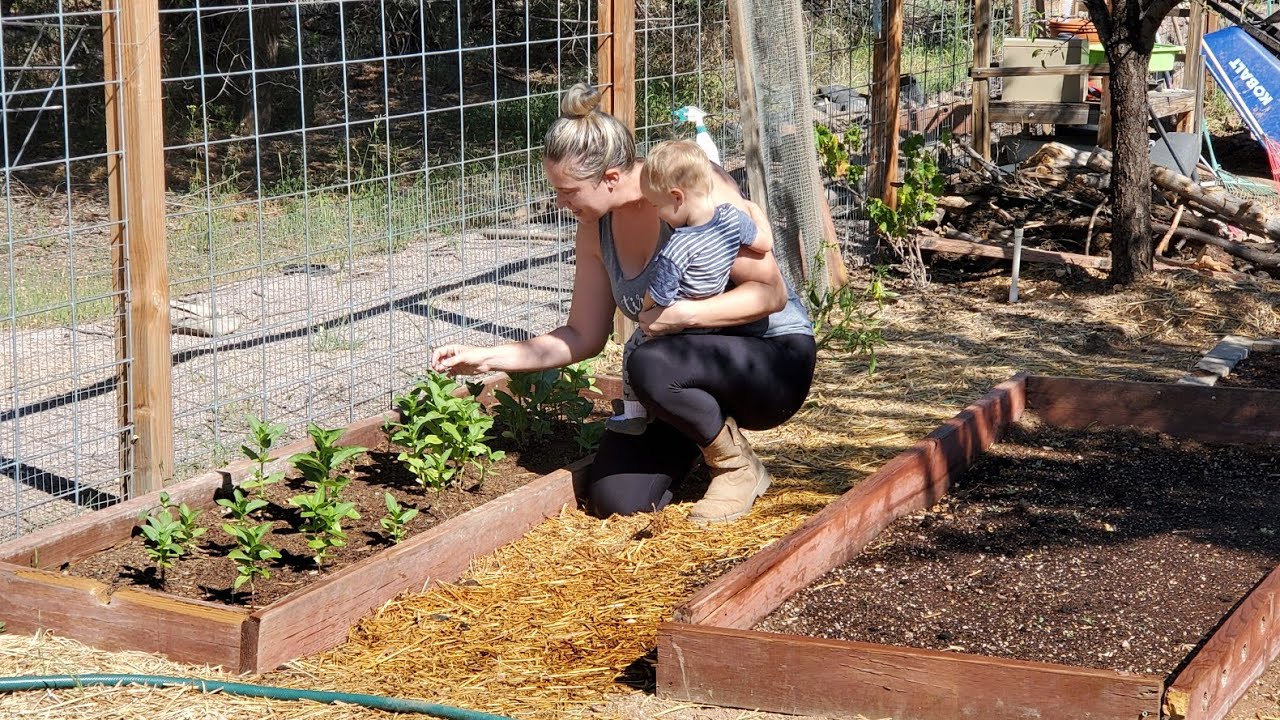 Shout Out to My Beautiful Wife - The Beggining of a Flower Farmer - YouTube