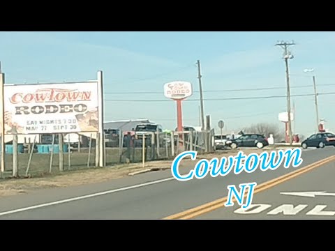 A Lazy Trip to Cowtown, NJ - YouTube