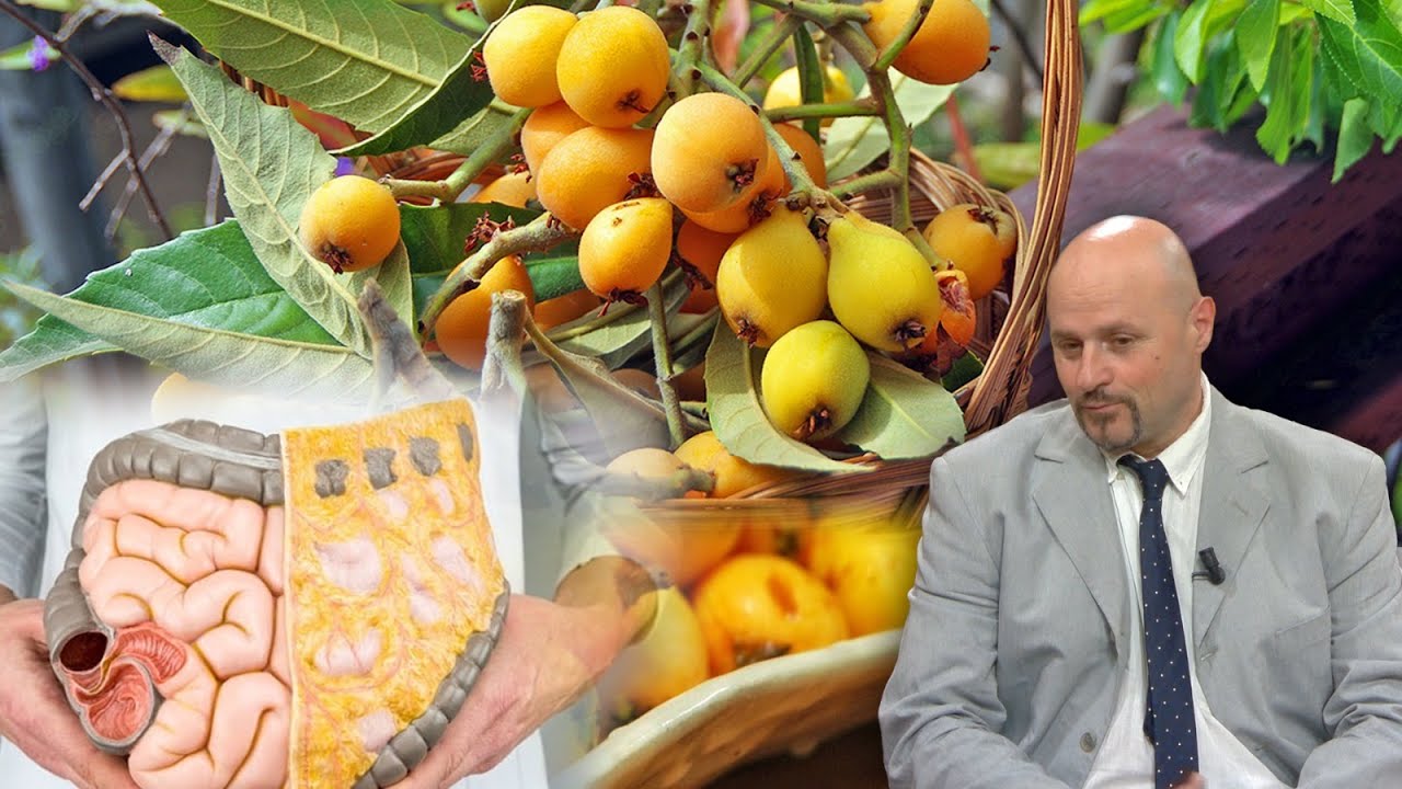 Nespulla, fruti magjik i nënvlerësuar. Përfitimet për mëlçinë e zorrët ...