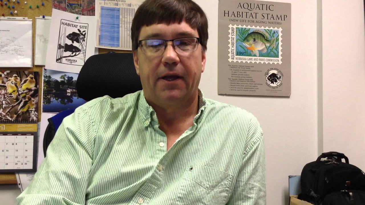 Mark Porath - YouTube