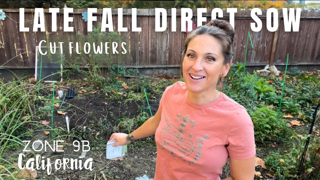 Direct Sow Late Fall: CUT FLOWERS #zone9bcutflowers - YouTube