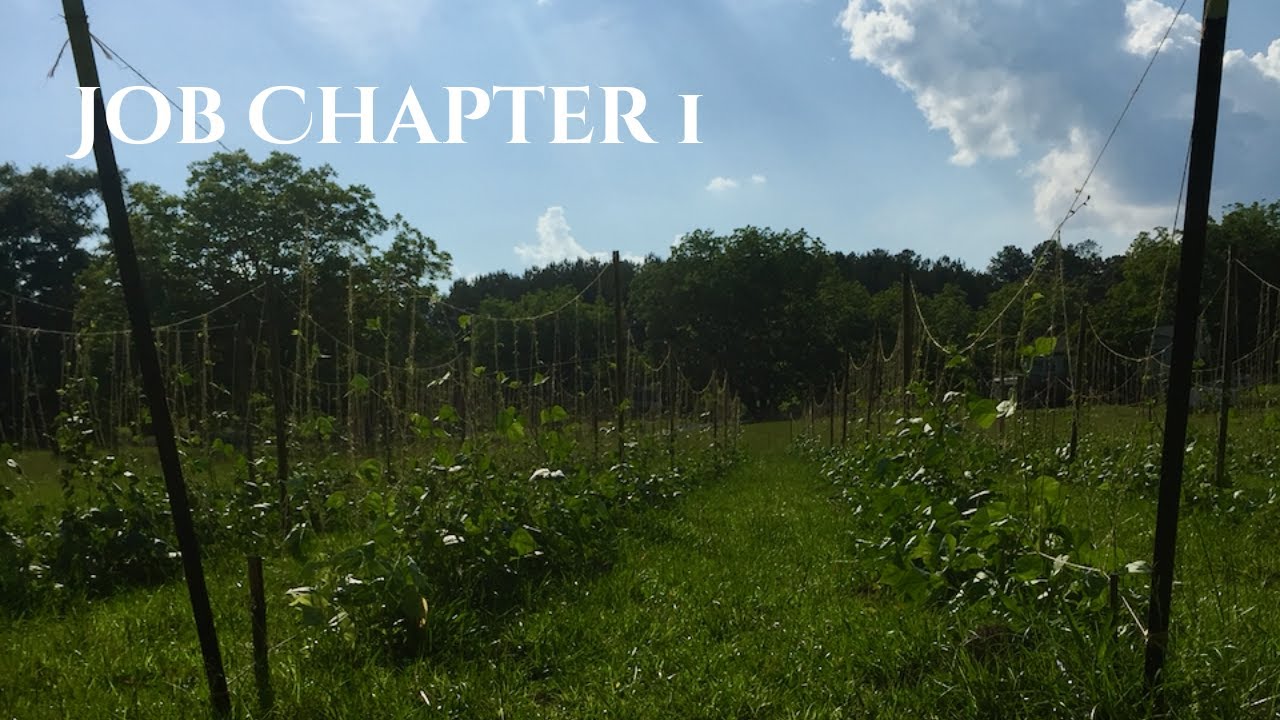 Job - Chapter 1 - YouTube