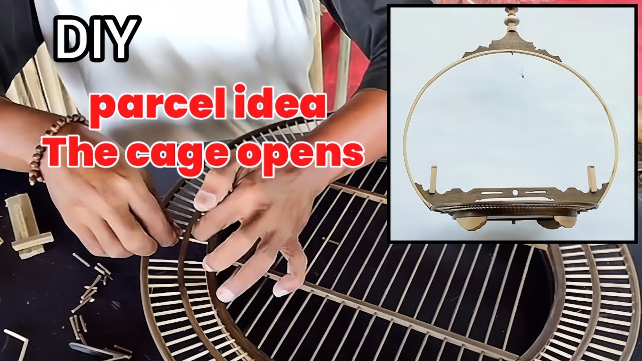 Making an open cage (idea from parcel) DIY bird cage - YouTube