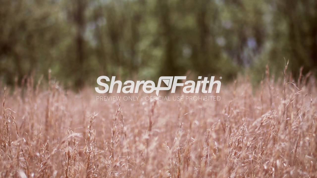 Church Backgrounds: Wheat Field - YouTube