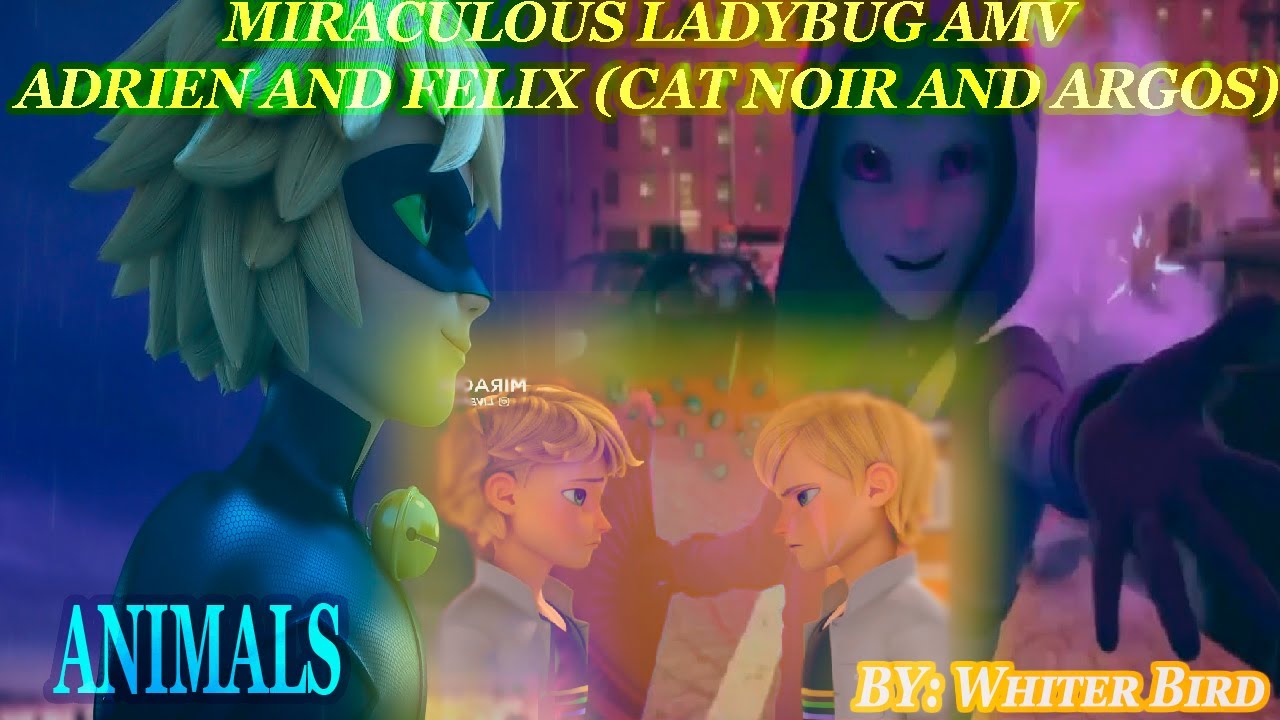 Miraculous Ladybug [AMV] | Adrien and Felix (Cat Noir and Argos ...