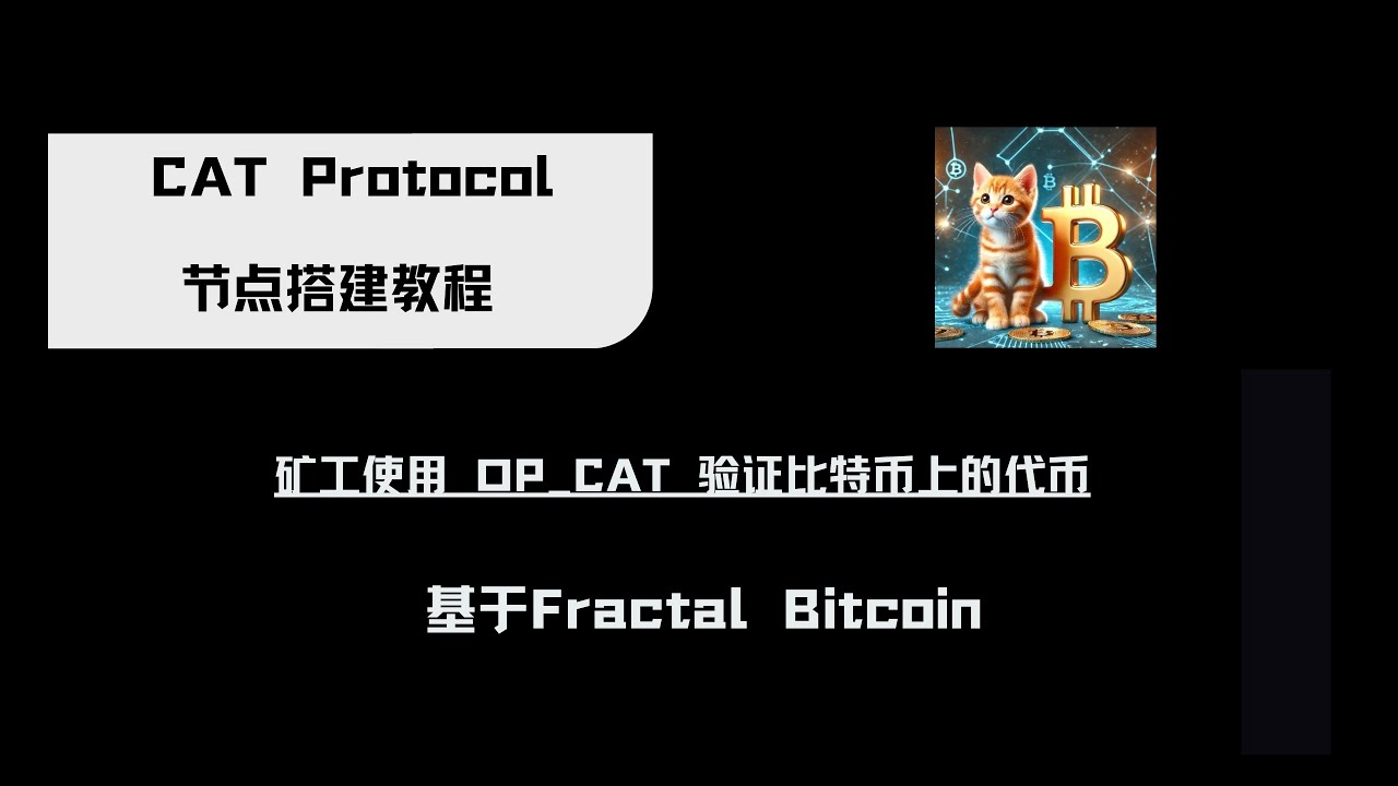 CAT Protocol纯手动安装教学 - YouTube