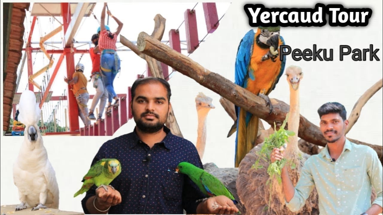 Peeku Park Yercaud / Poppy Hills - Yercaud One Day Tour / Enjoyed with ...