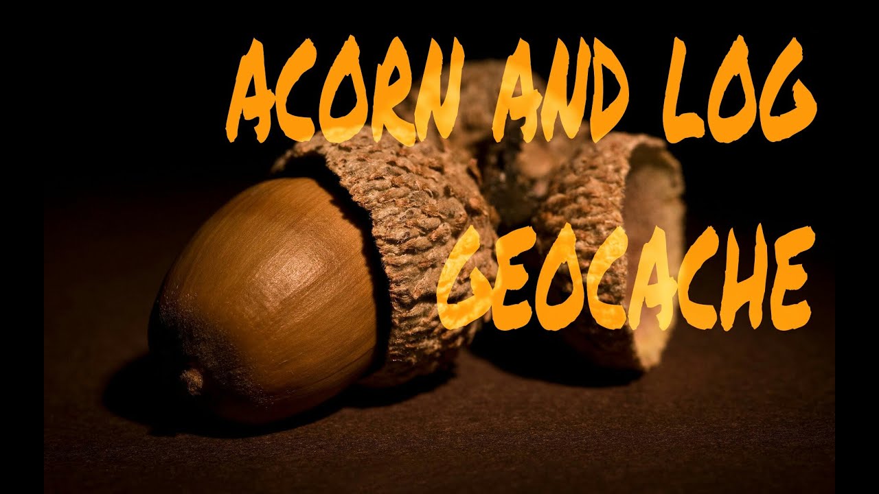 Evil Acorn and Log Geocache - YouTube