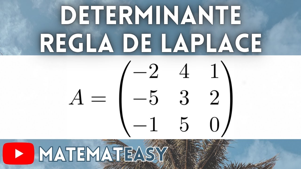 🔡 Determinante de una Matriz de 3x3 | Regla de Laplace. Ejercicio 3 ...