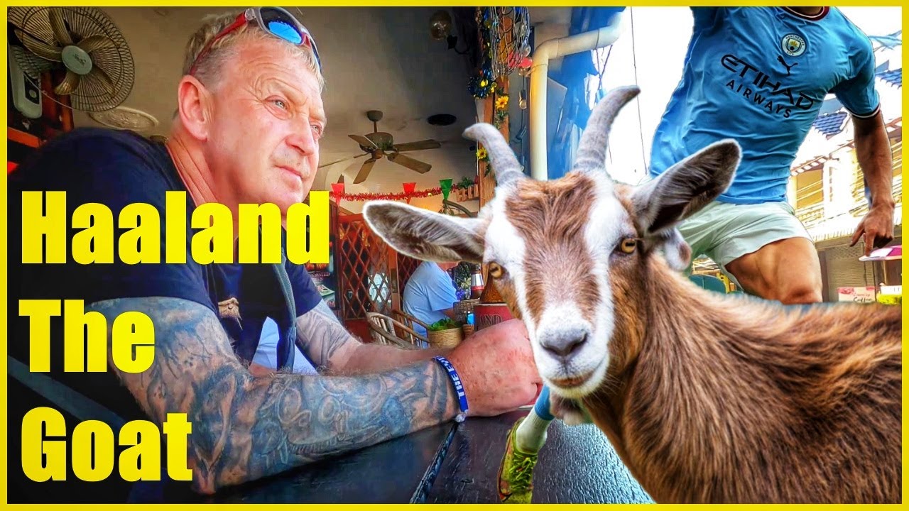 Haaland the Goat - YouTube
