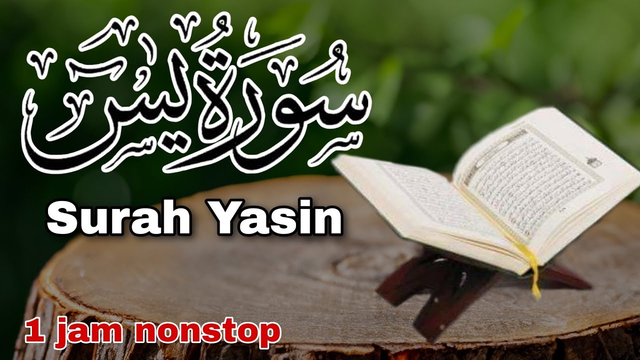SURAH YASIN MERDU FULL 1 JAM NONSTOP - SURAT YASIN, PEMBUKA PINTU ...