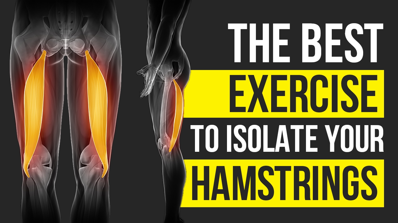 Lying Machine Hamstring Curls (Best Hamstring Exercise) - YouTube