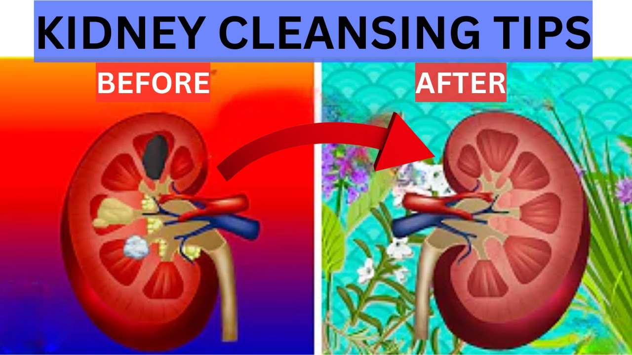 Use This To Cleanse and Heal Your Kidneys #healthy - YouTube