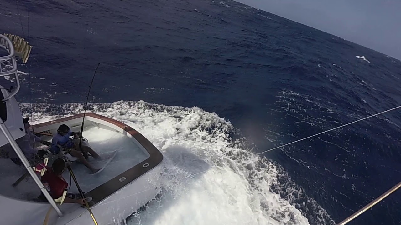 Iona II Game Fishing GBR Black on 50lb - YouTube