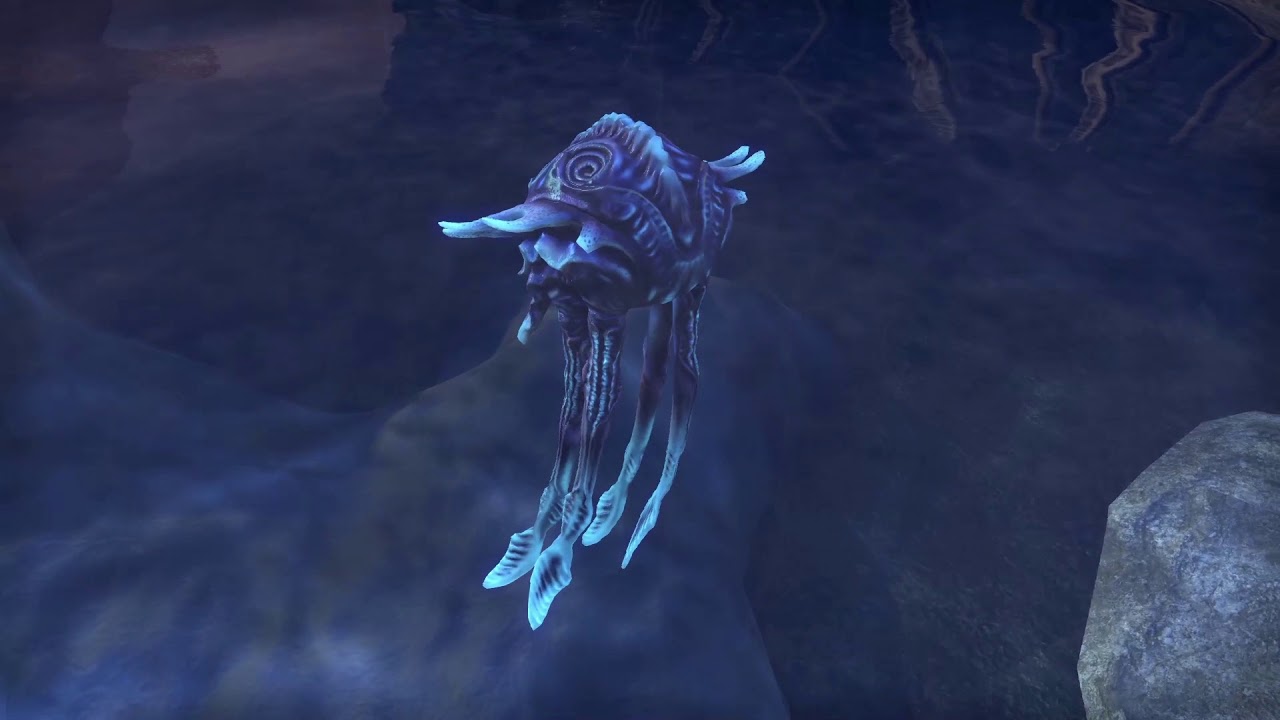 ESO Pet Showcase - Swamp Jelly - YouTube