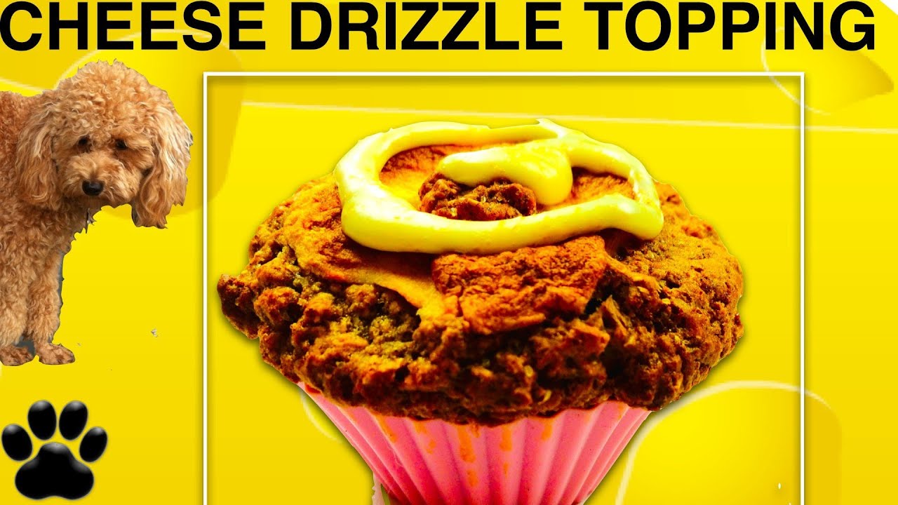 How to make CHEESE DOG DRIZZLE TOPPING DIY Dog Food a tutorial by ...