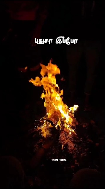 Happy Pogi... ️🔥 /Whatsapp status tamil #trending #love #pogi # ...