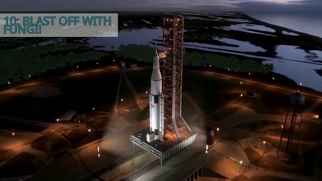 Fungi in Space: How Mycology Is Changing Astronomy - YouTube