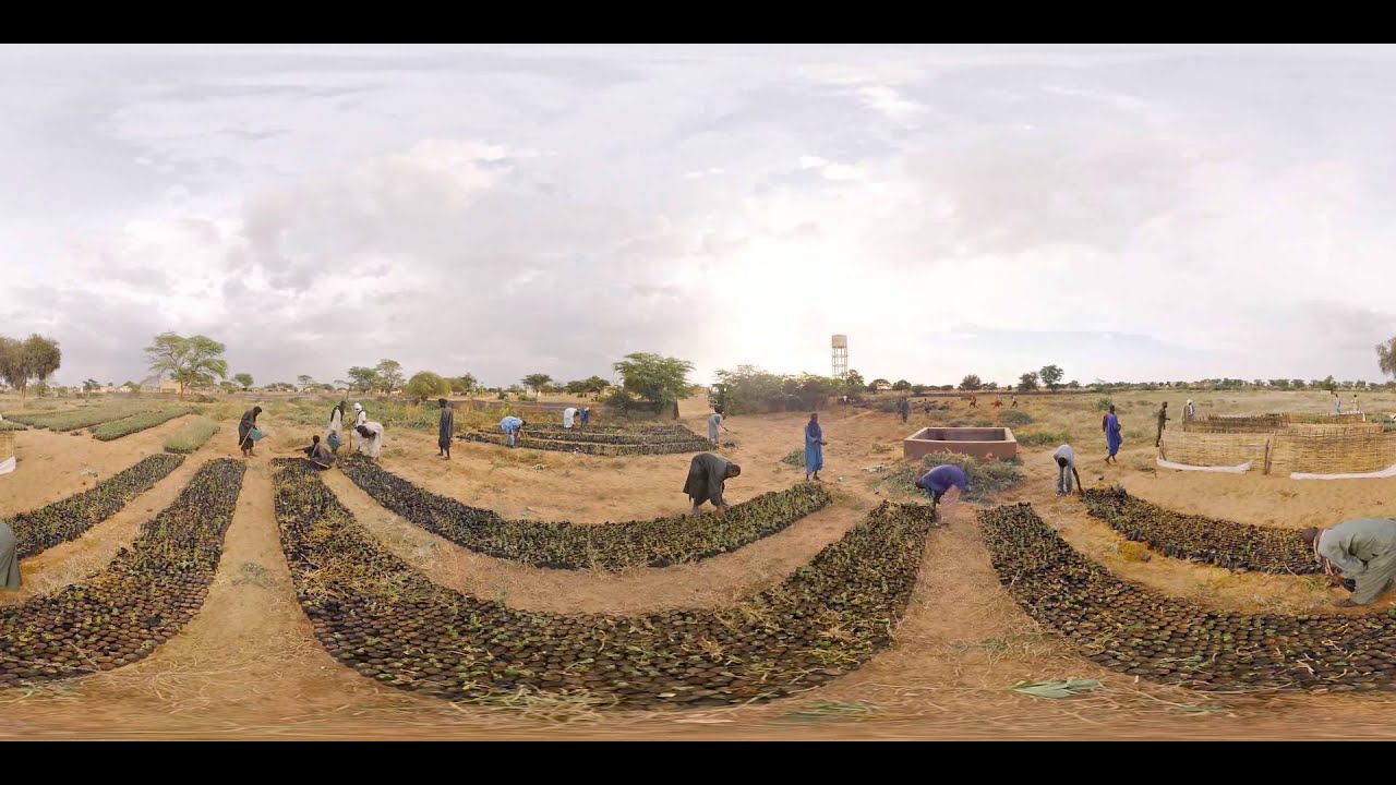 Growing a World Wonder (Virtual Reality film) - YouTube