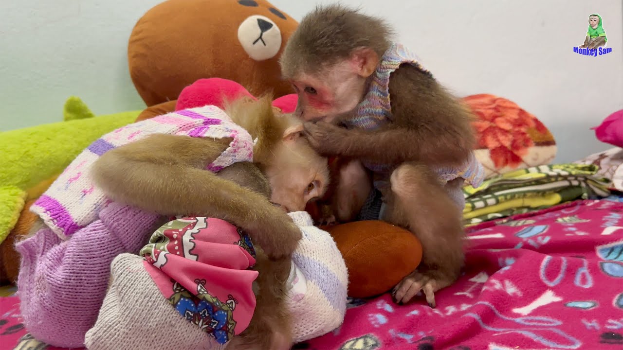 Asher cares and loves monkey sam so cute - YouTube