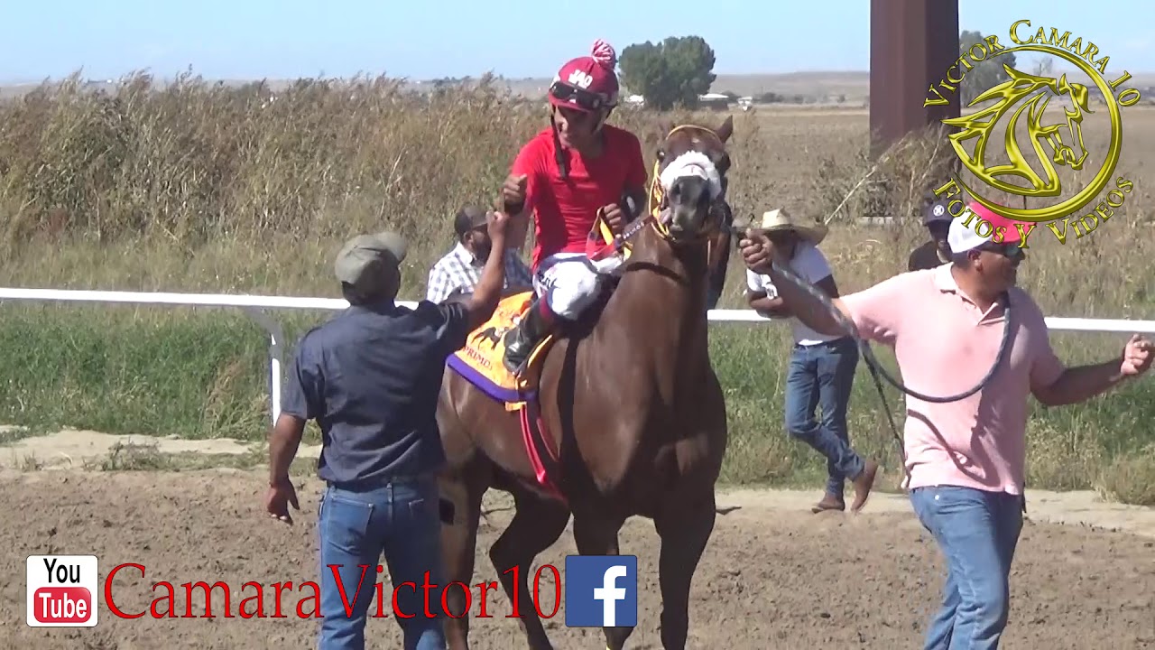 El Pico Chulo Vs El Sony 200 - YouTube