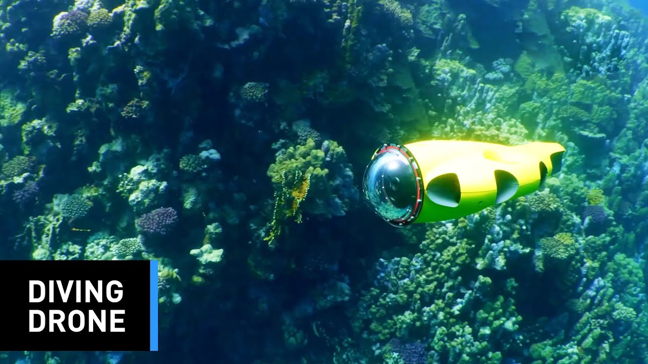 This Fully Autonomous Diving Drone Will Follow And Film You Underwater ...
