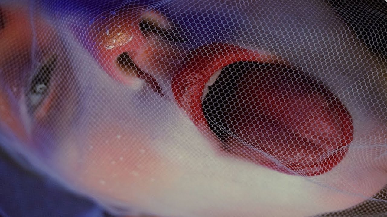 UZED-4_LUV by Vampires Reflection - YouTube