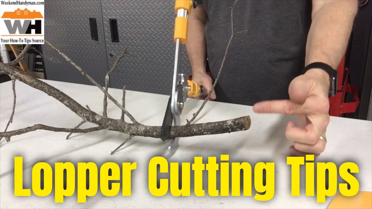 Branch Cutting Tips Demonstration With The Centurion® Double Gear ...