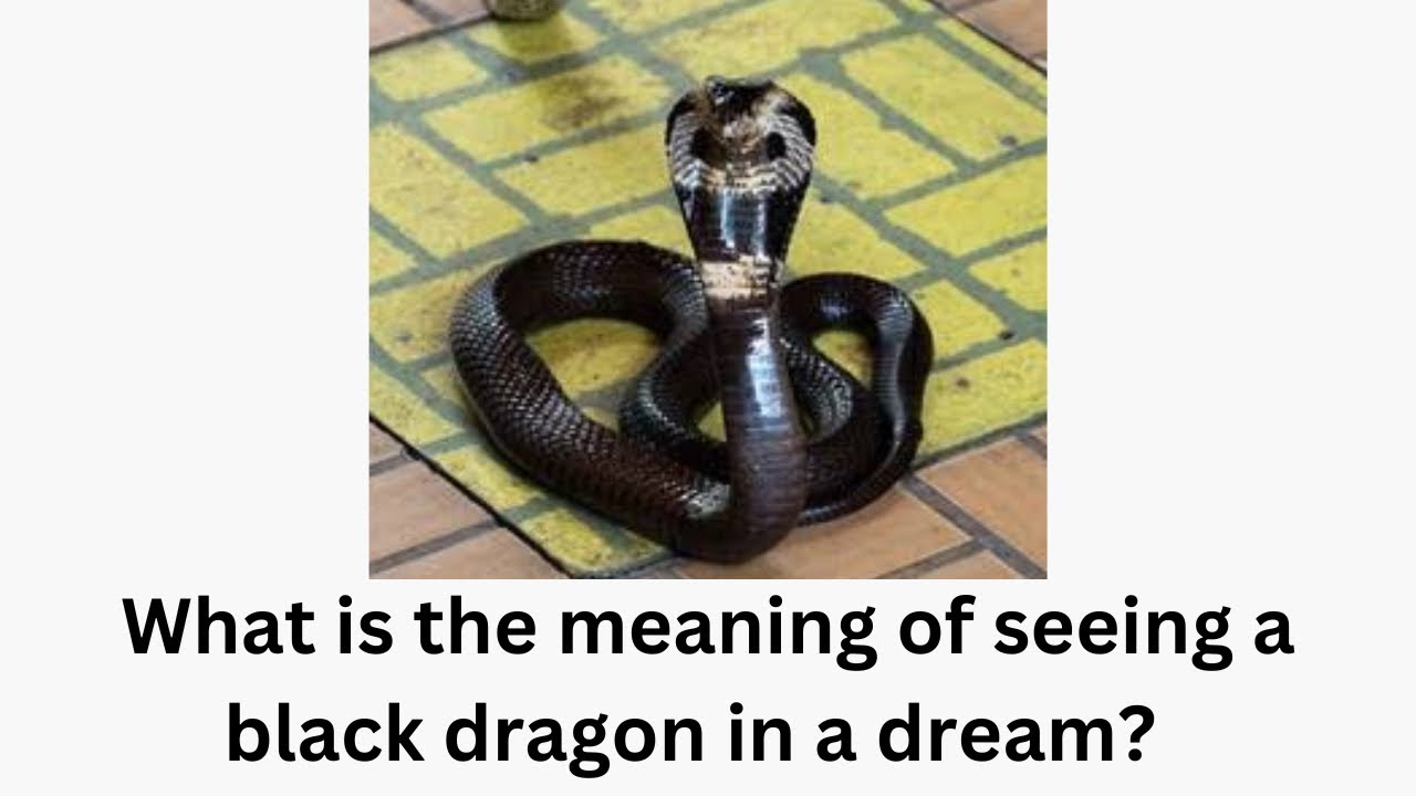 What is the meaning of seeing a black dragon in a dream ? - YouTube