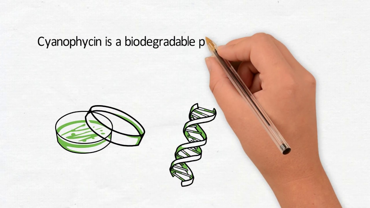 About Cyanophycin - YouTube