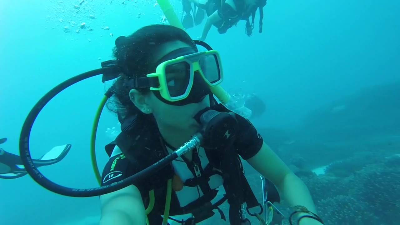 Scuba Diving at Lady Elliot Island - YouTube