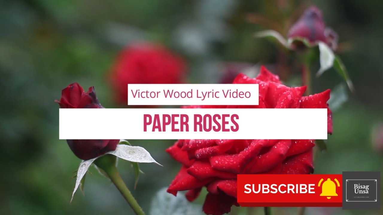 Paper Roses | Victor Wood Lyrics - YouTube