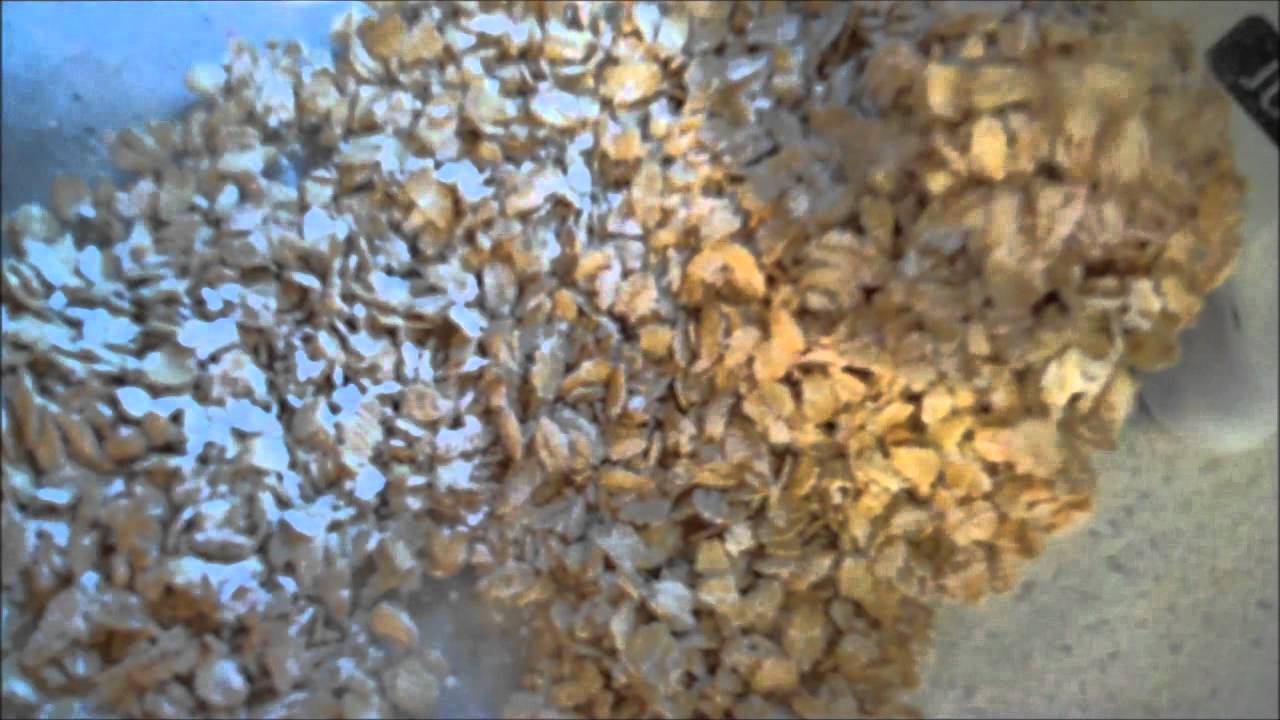Flaking Oats from Food Storage - YouTube