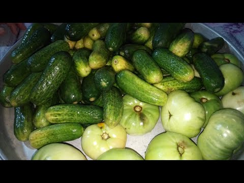 Annem Turşu yapımına başladı Şadiye Anne yemekleri