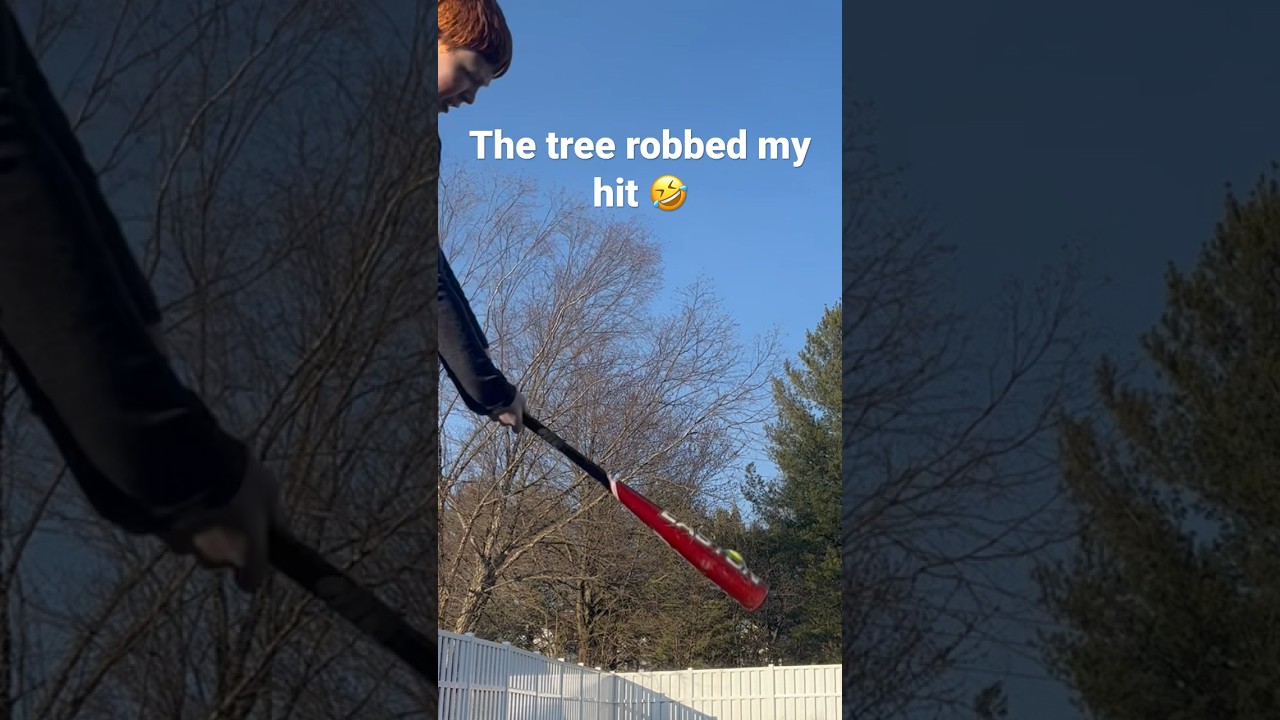 The tree robbed my hit 🤣 - YouTube