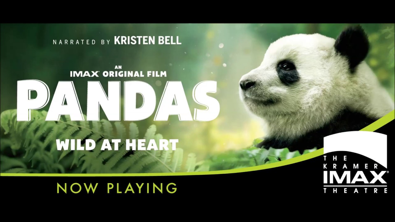 Pandas IMAX Trailer - YouTube