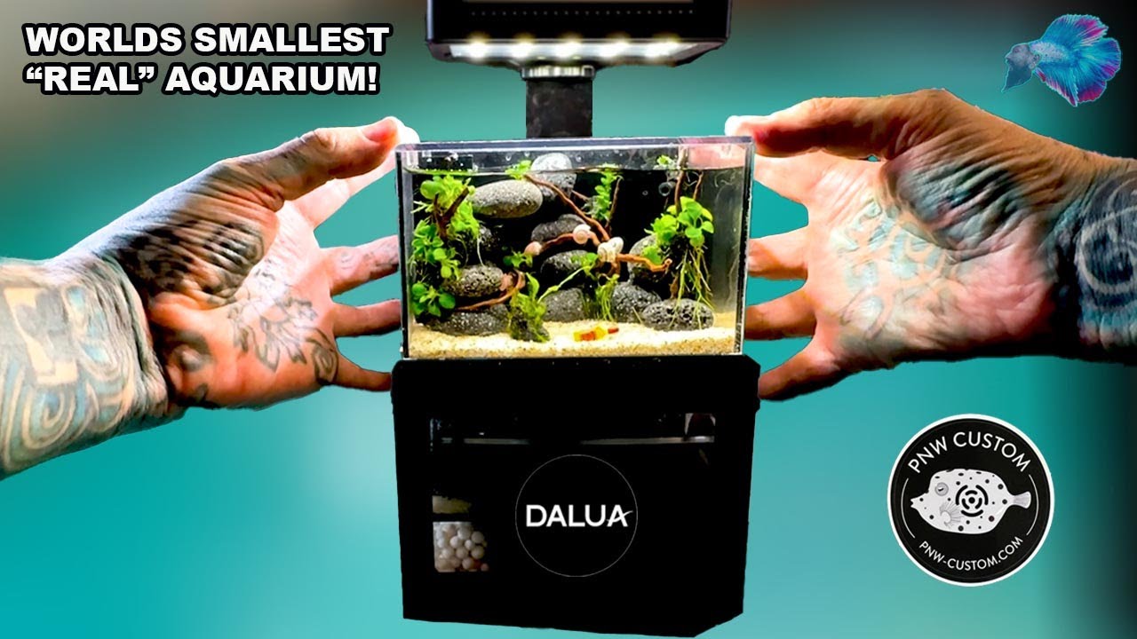 THE WORLD'S SMALLEST AQUARIUM REVIEW! - YouTube