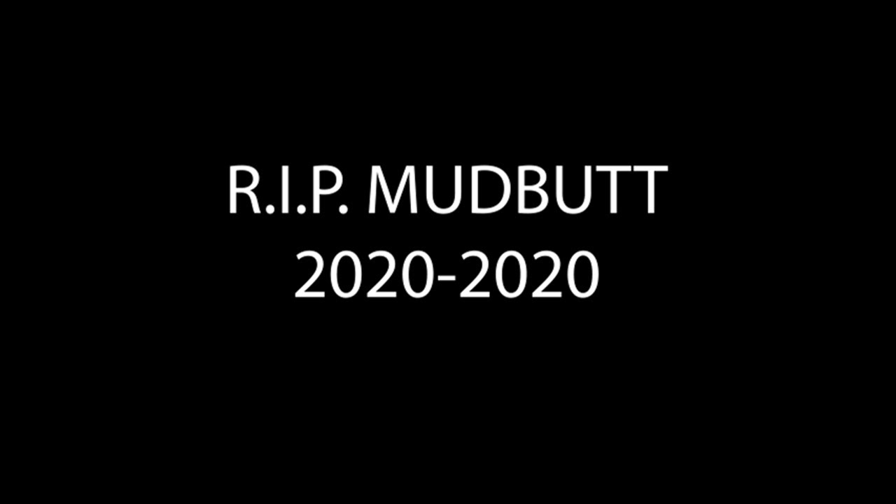 Albion Online | R.I.P MudButt - YouTube