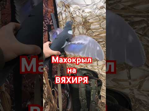Махокрыл на ВЯХИРЯ, своими руками. #охота #охотанавяхиря #сезонохоты #иж27 #hunting #hunter