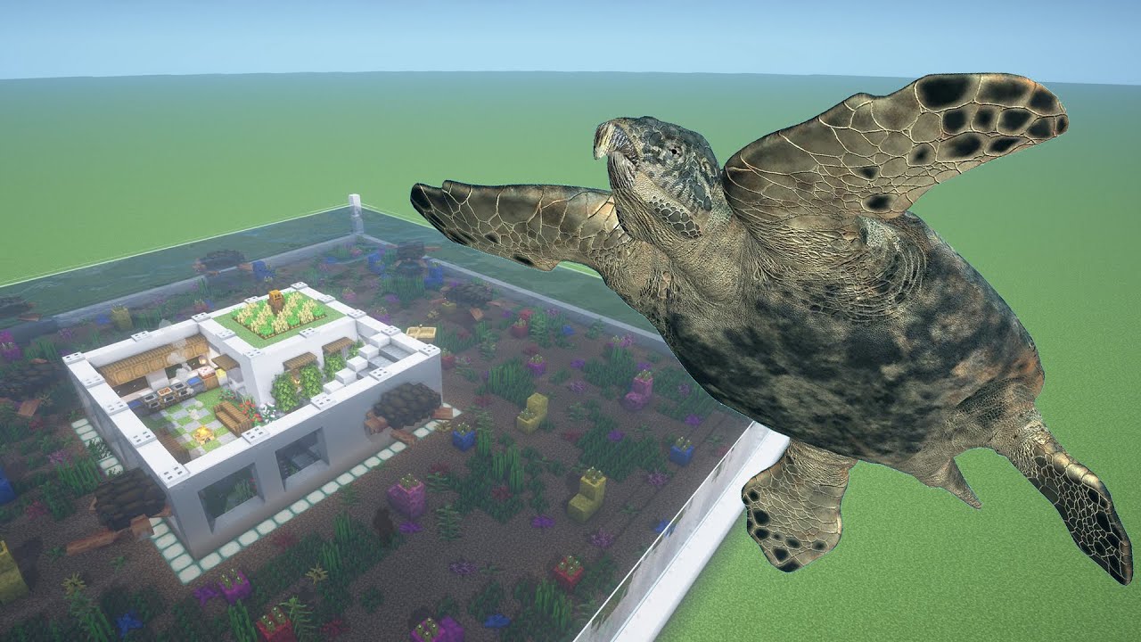 How To Make an Archelon Farm in Minecraft PE - YouTube