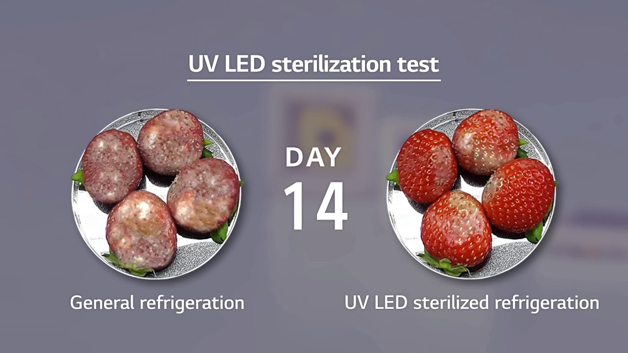 Air Purification, Food Hygiene _ IRTronix _ Powered by LG Innotek - YouTube