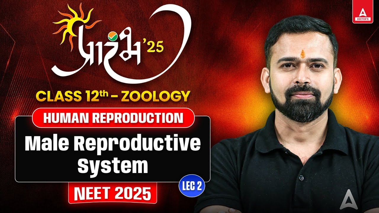 HUMAN REPRODUCTION CLASS 12 NEET 2025 | MALE REPRODUCTIVE SYSTEM ...