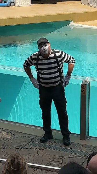 Seriously 😂🤣 Tom The Mime Seaworld Seaworldmime Funny Shorts Youtube