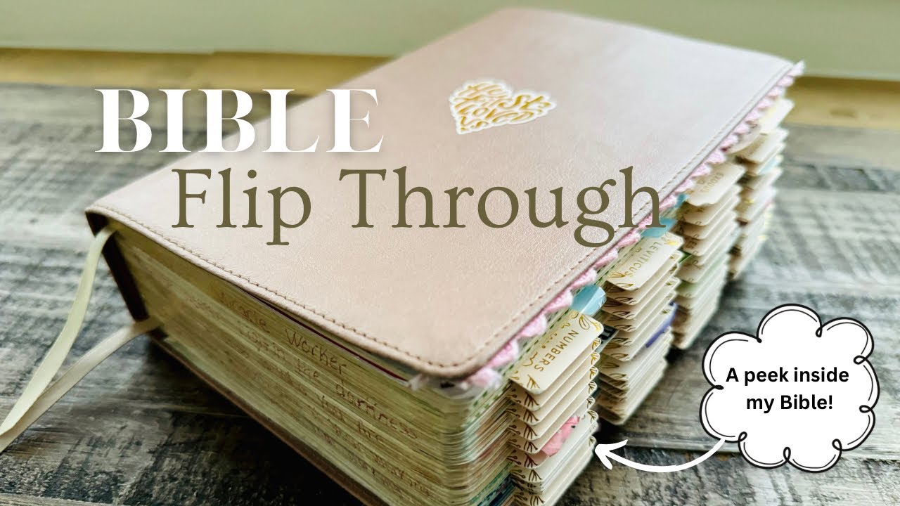 She Reads Truth Bible Flip Through 2024 - YouTube