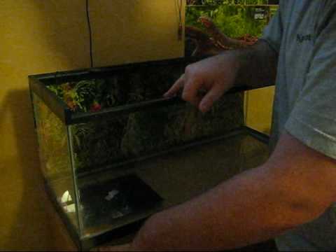 How to Set up a Ball Python Enclosure (Part 1) - YouTube
