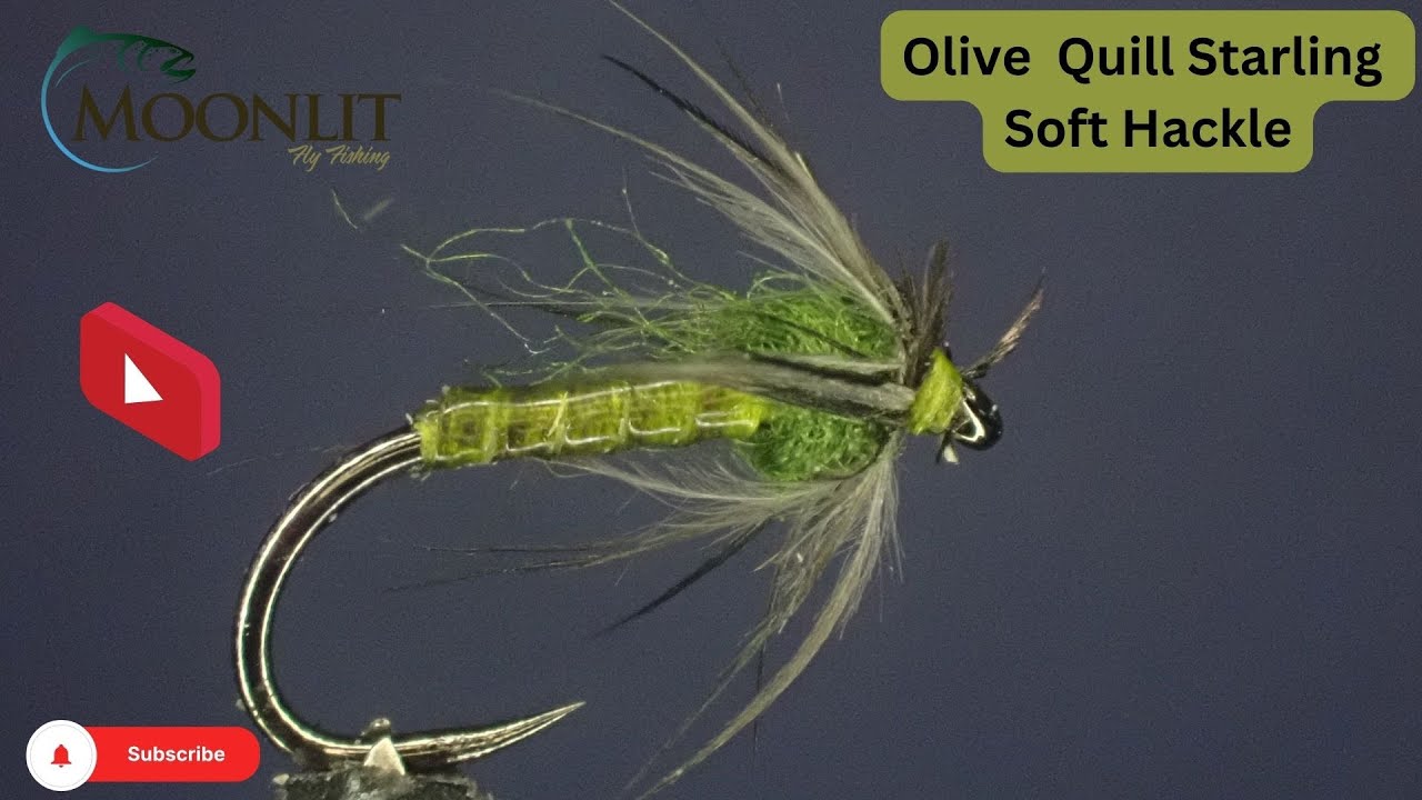 Olive Quill Bodied Starling Soft Tackle Fly Tying Tutorial - YouTube