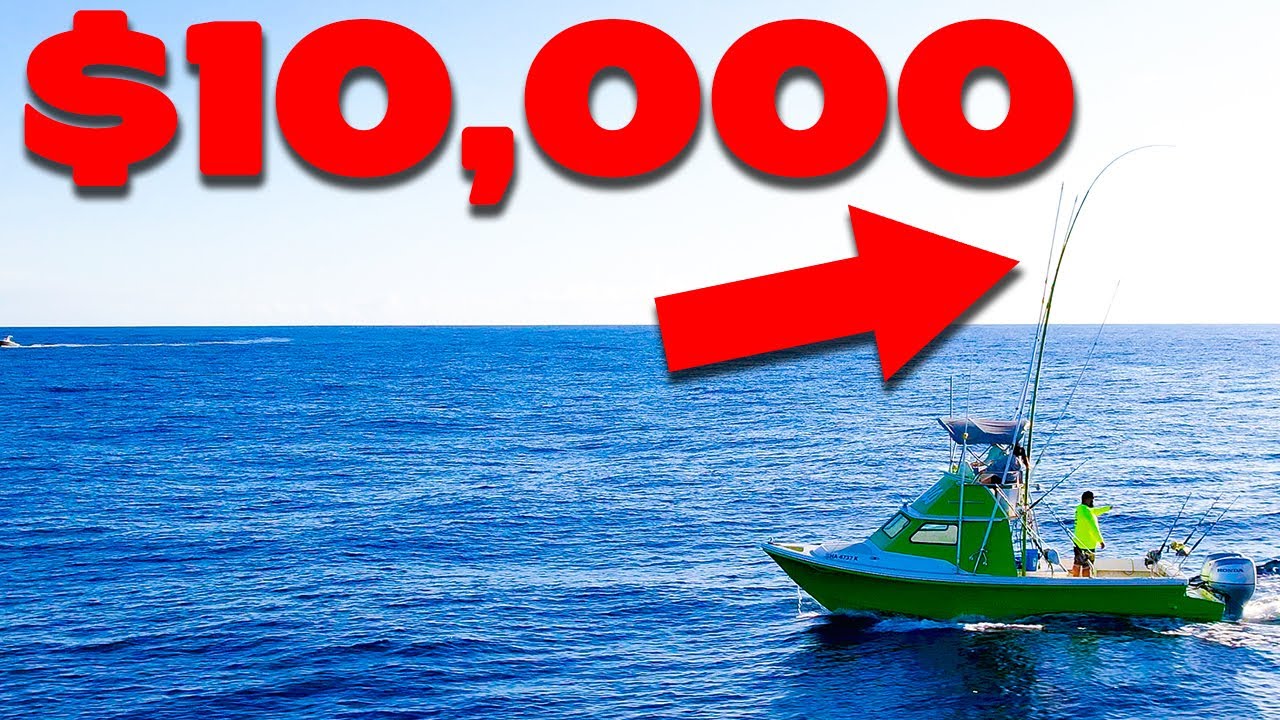 Most expensive Rod for Tuna Fishing! - YouTube