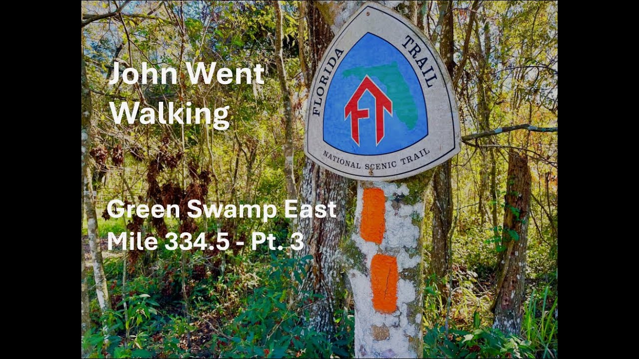 Florida Trail Thru-Hike (Green Swamp East Tract, Mile 334.5 - Pt. 3 ...