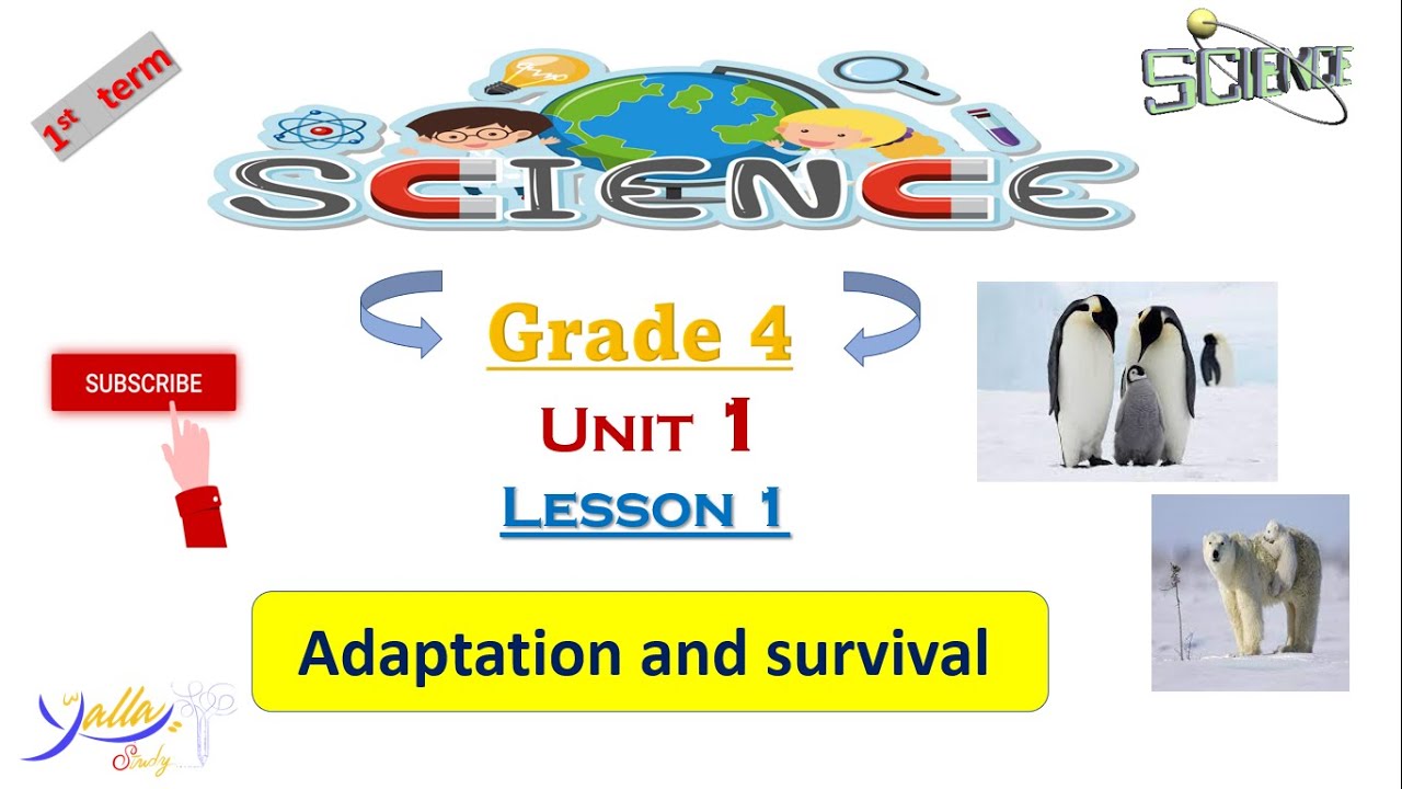 Science chapter lesson 1 theme 1 primary 4 first term - YouTube